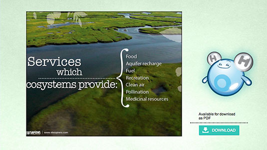 Water and Biodiversity | Elesapiens Learning & Fun