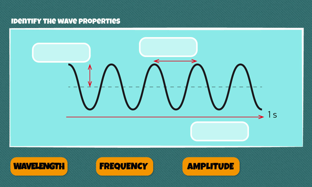 Waves and Sound | Elesapiens Learning & Fun
