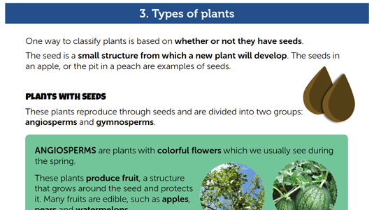 Plants | Elesapiens Learning & Fun