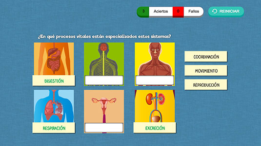 Sistemas del Cuerpo Humano | Elesapiens Learning & Fun